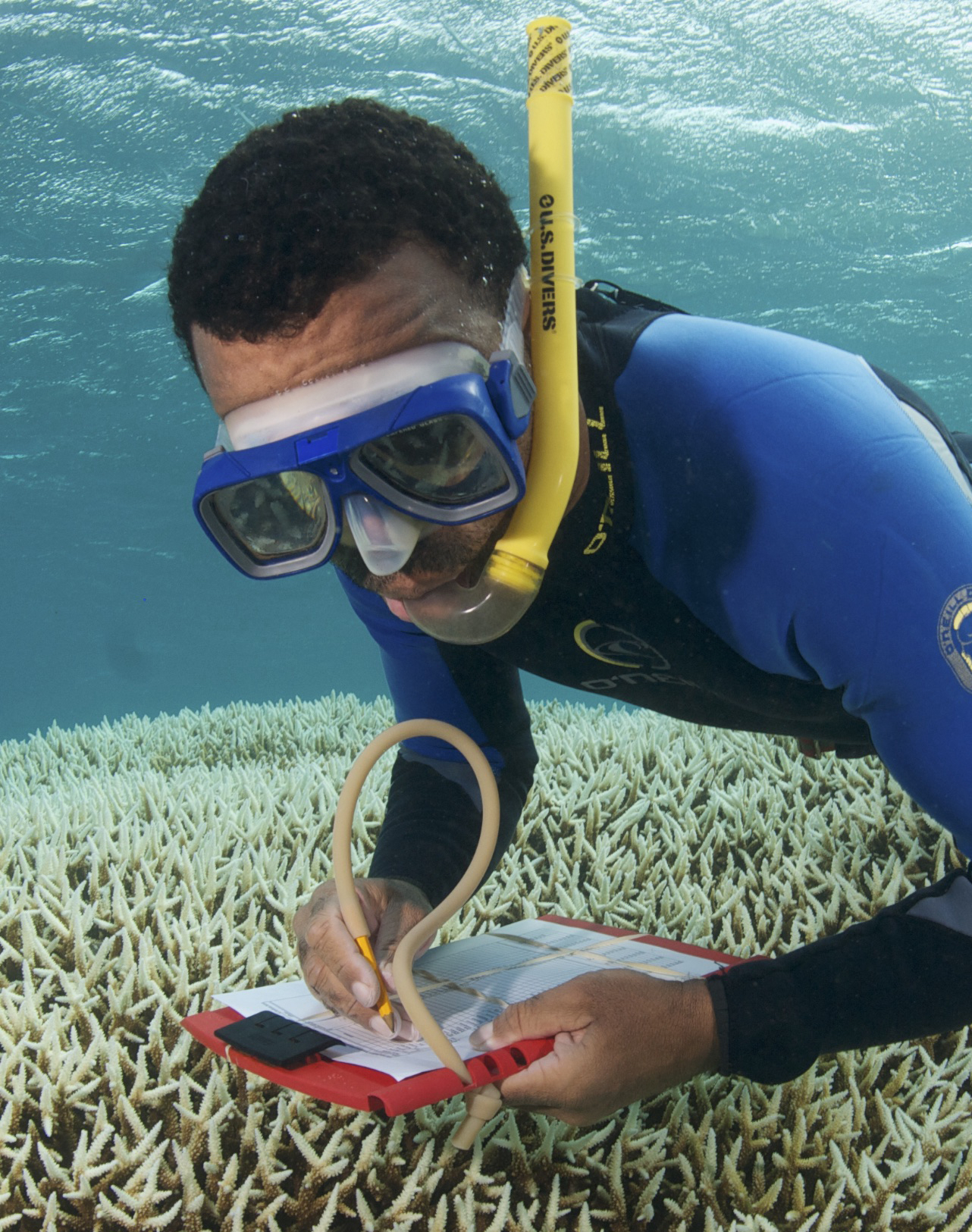 Urgent collaboration between nations needed to save marine life, from ...