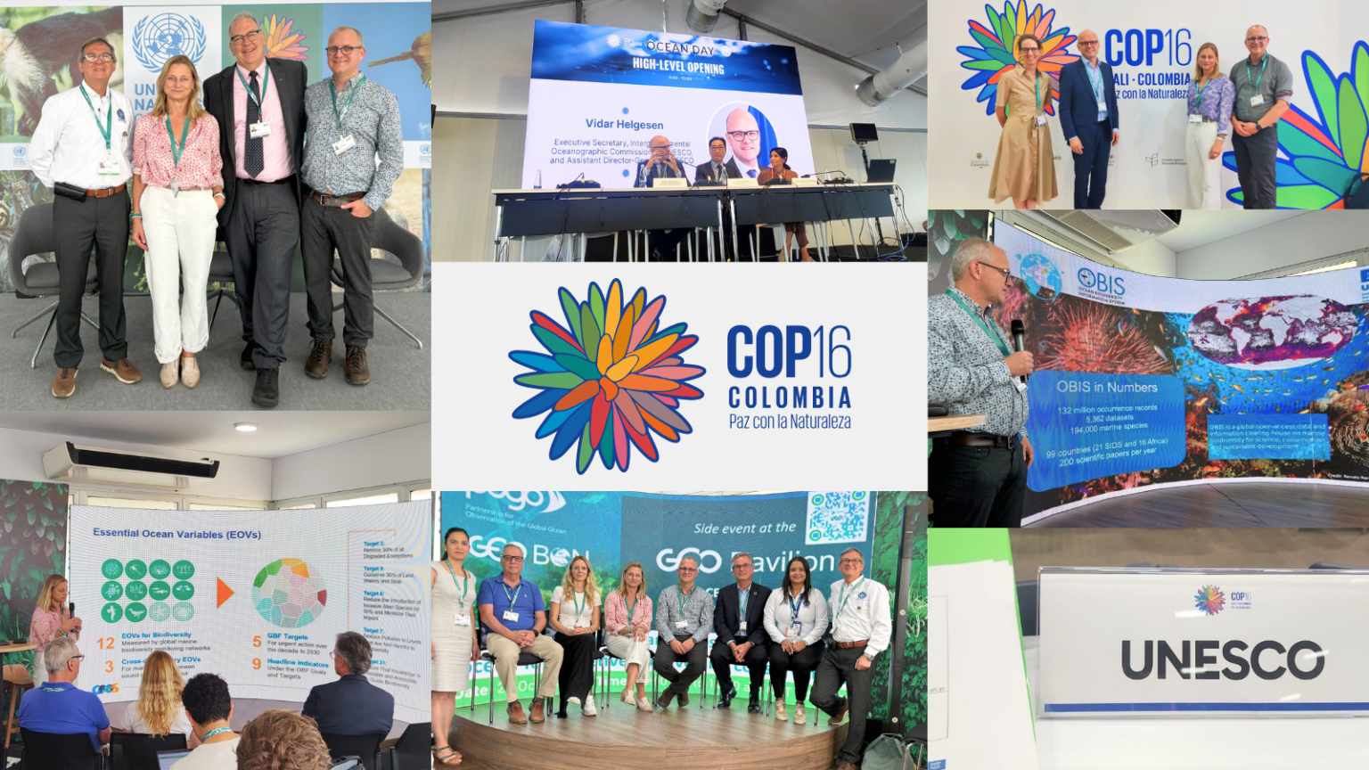 COP16 Outcomes: Ocean Observing and Data for Biodiversity Conservation – Global Ocean Observing ...